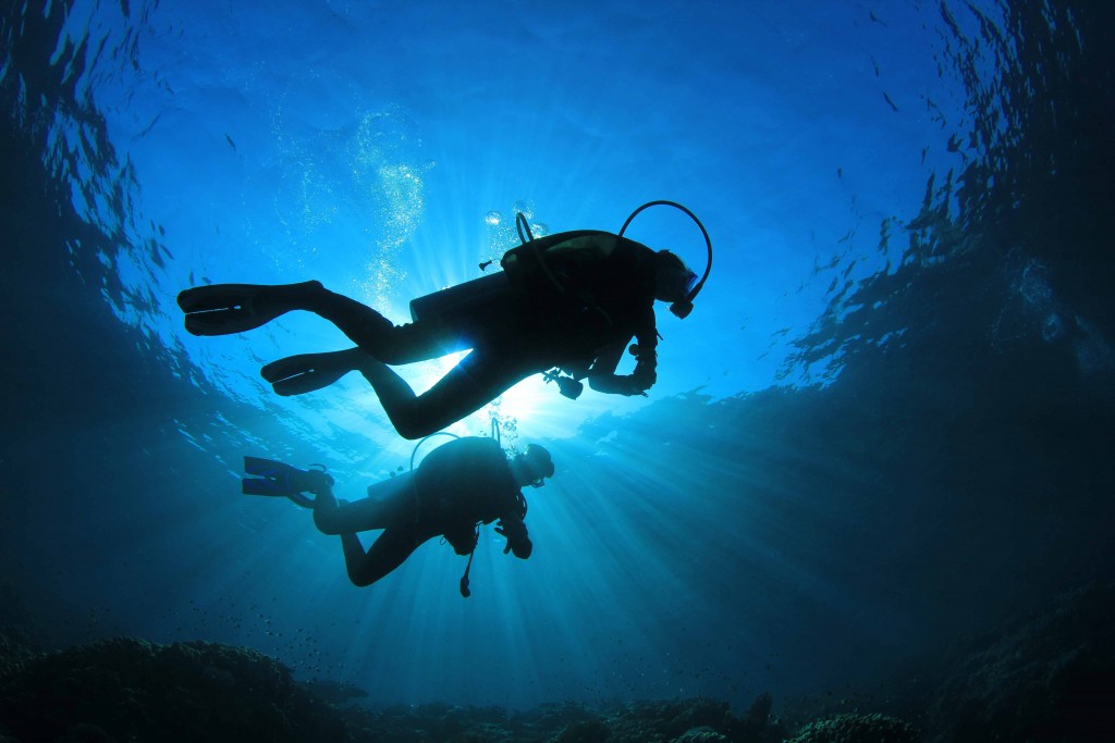 Paradise Mirissa Diving Dive Center – A whole New Experience from ...